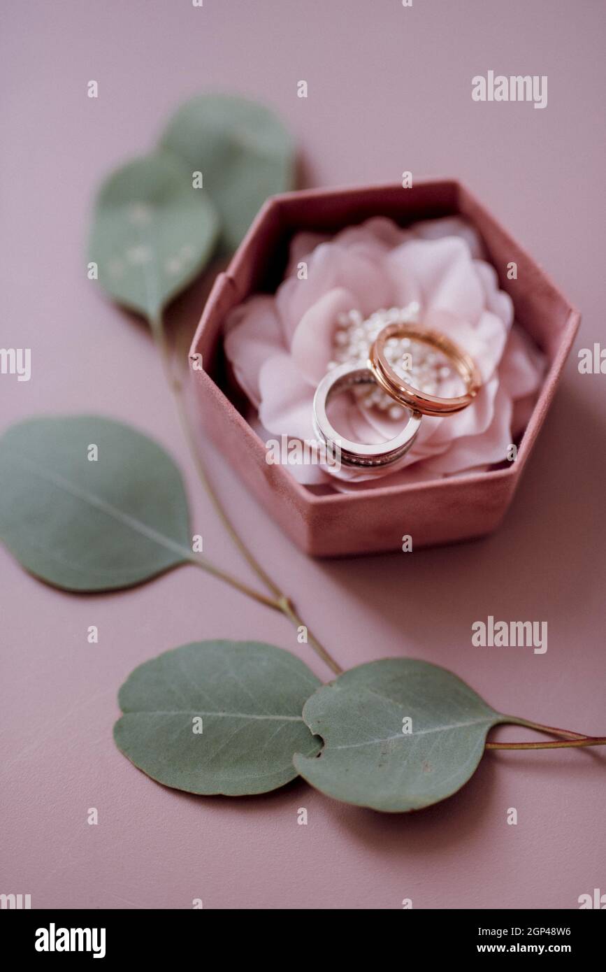 wedding rings with a wedding pink box and green decor Stock Photo - Alamy