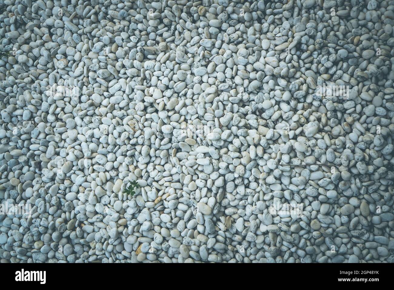 White pebble stone texture on the ground abstract background graphic ...