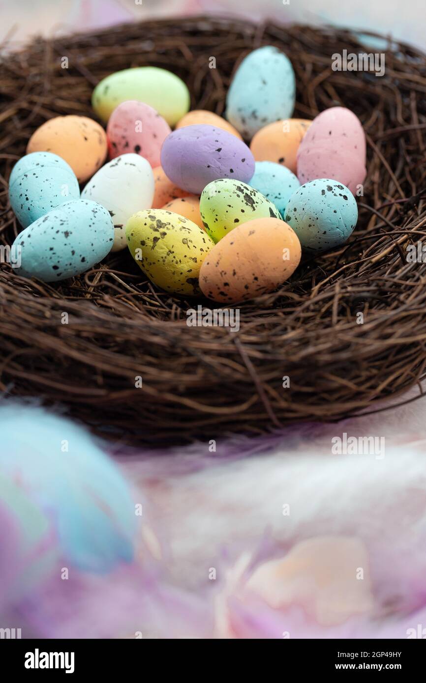 Colorful pastel colored easter eggs in bird's nest top view with bright ...