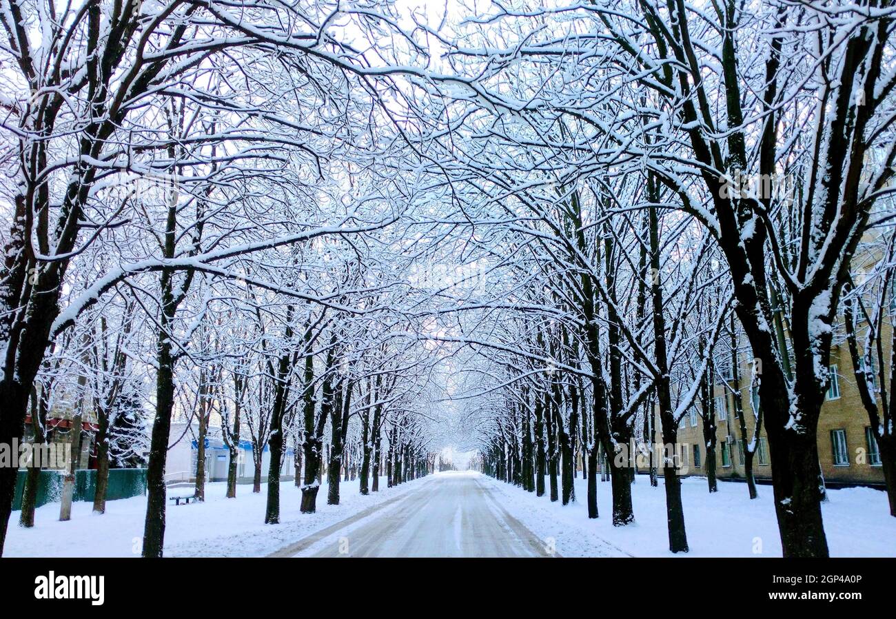 Winter empty snow-covered street in the early morning of January Stock ...