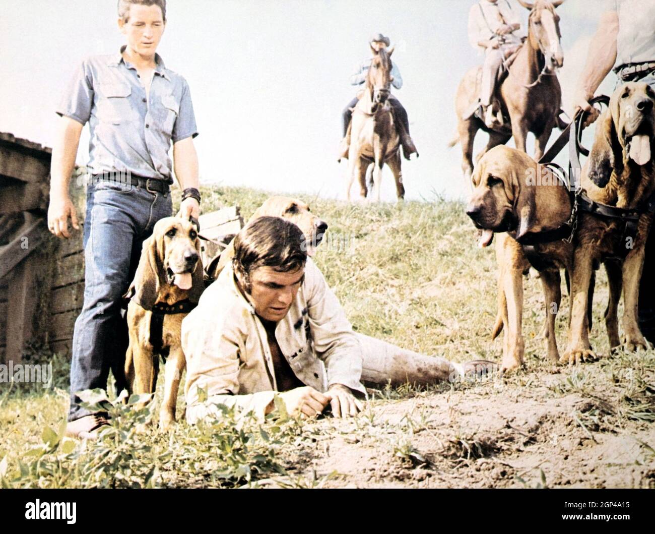 WHITE LIGHTNING, Burt Reynolds, 1973 Stock Photo - Alamy