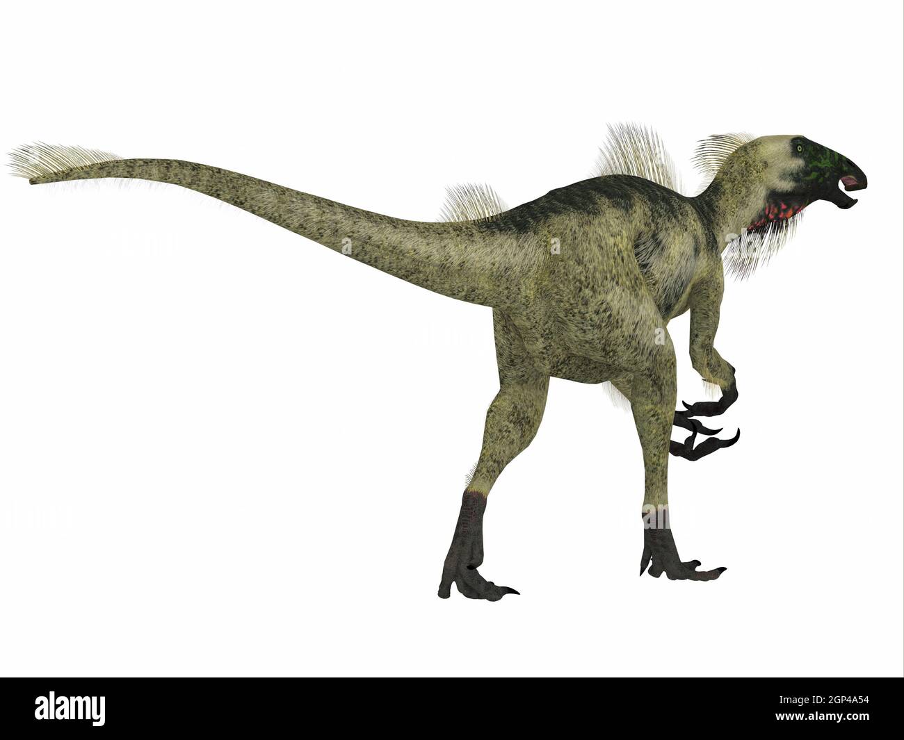Beipiaosaurus was a herbivorous theropod dinosaur that lived in China ...