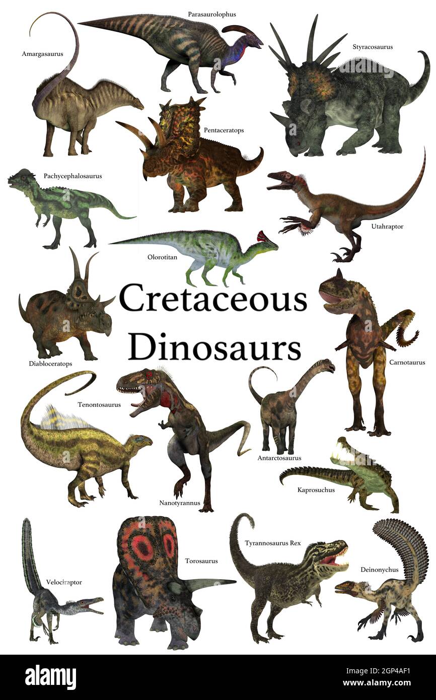 Various dinosaurs Cut Out Stock Images & Pictures - Alamy