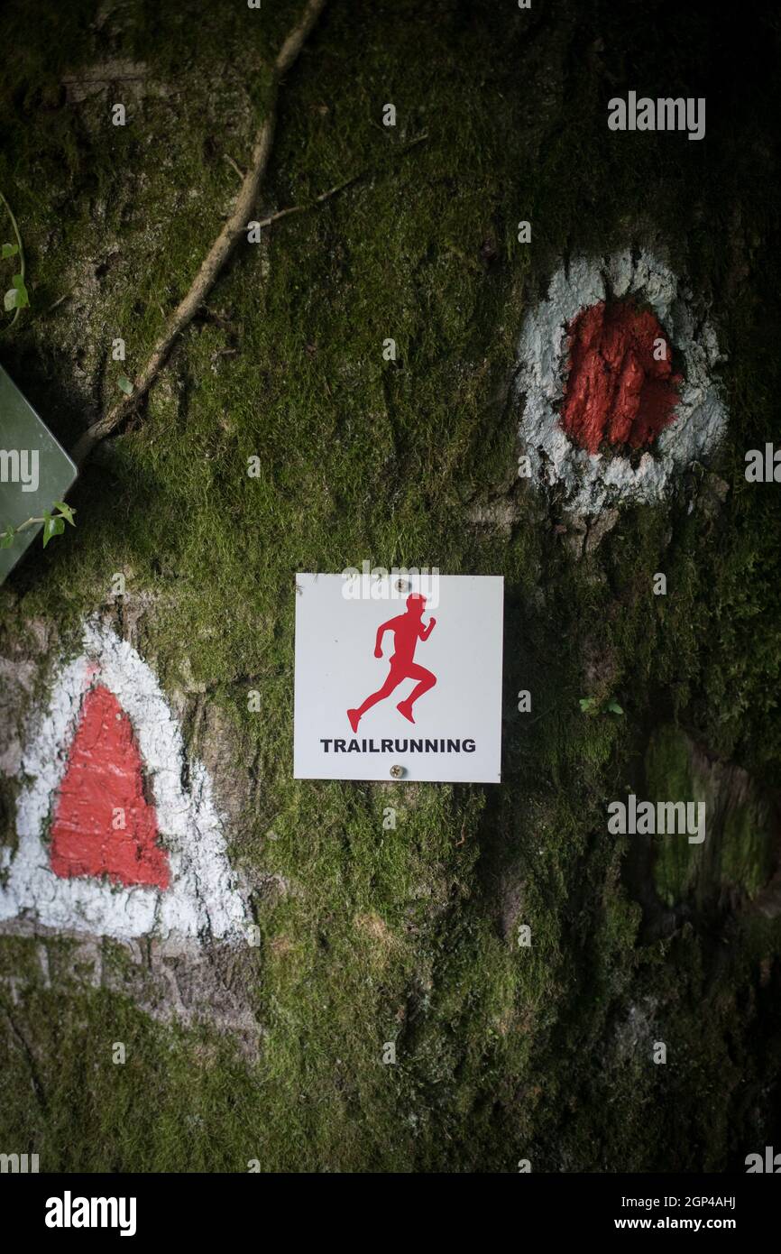 Image of a trail running track mark on a tree, along with touristic ...