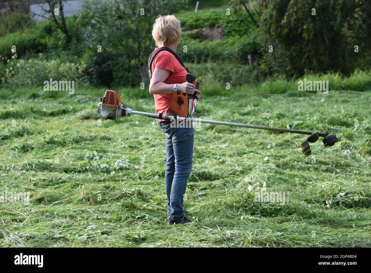 a farmer with a motor scythe mowing on the pasture Stock Photo - Alamy