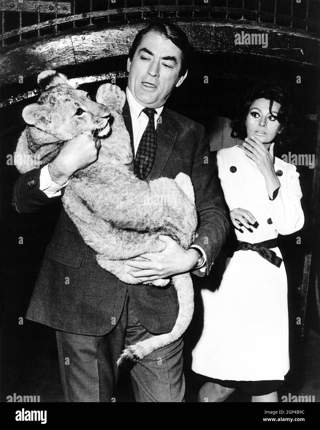 ARABESQUE, from left, Gregory Peck, Sophia Loren, 1966 Stock Photo - Alamy
