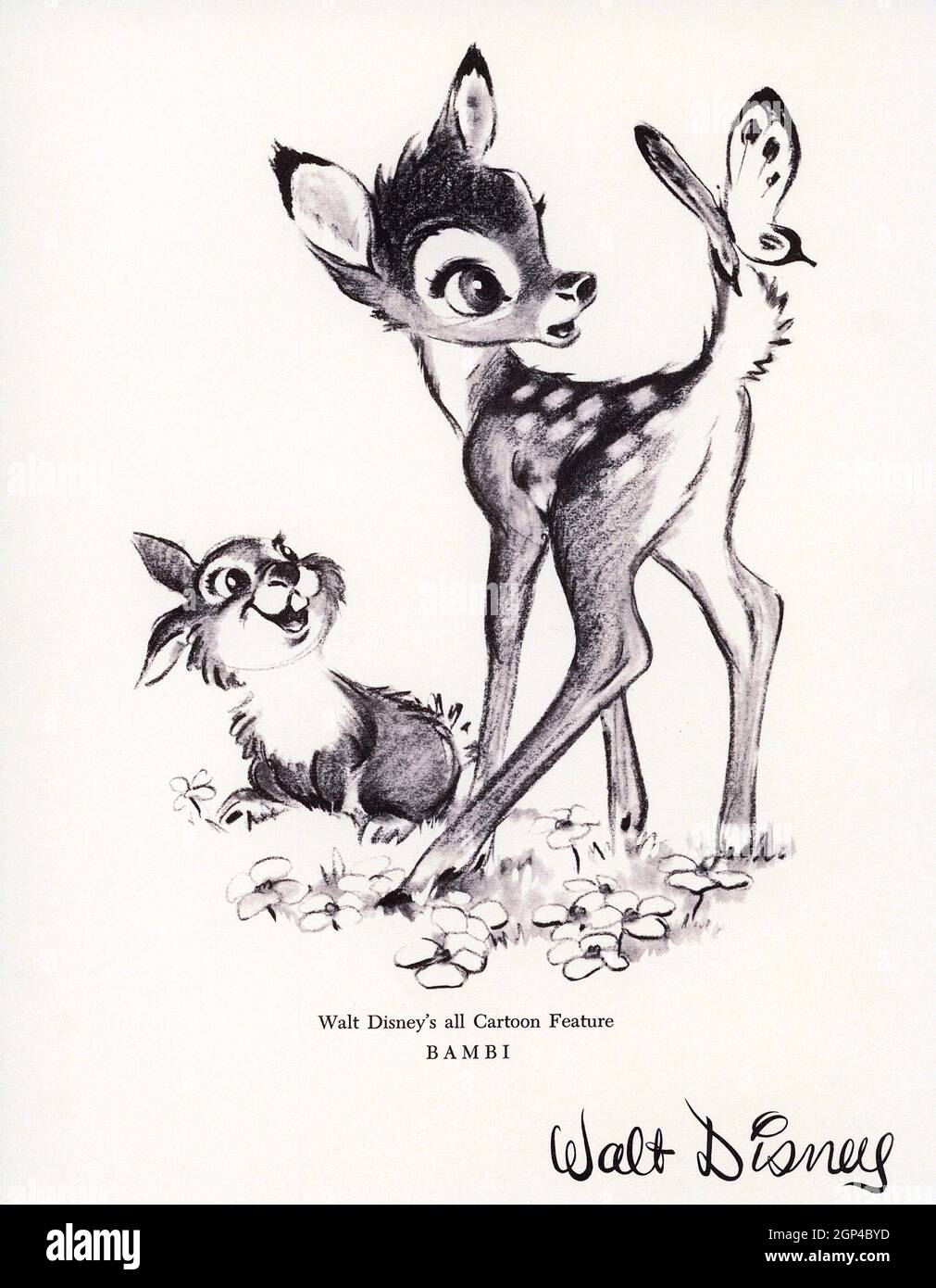 Bambi And Thumper Drawing