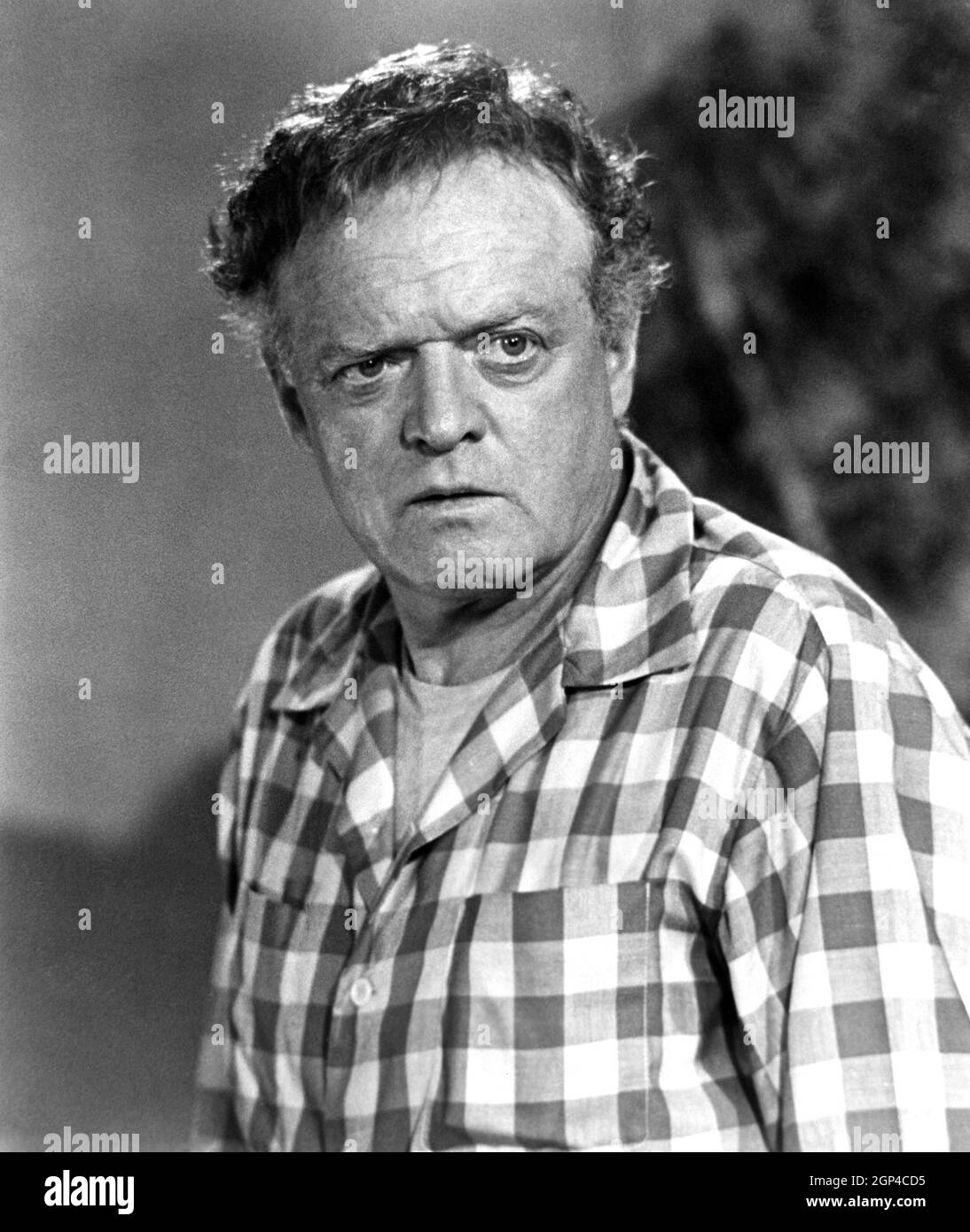 THE BIG BOUNCE, Van Heflin, 1969 Stock Photo - Alamy