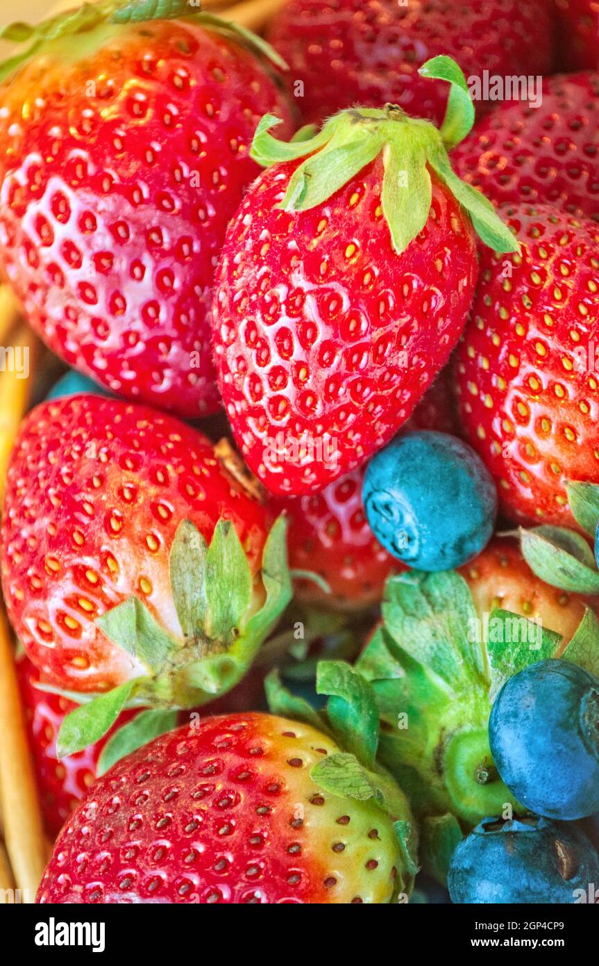 a brightly colored fruits to use as an example Stock Photo - Alamy