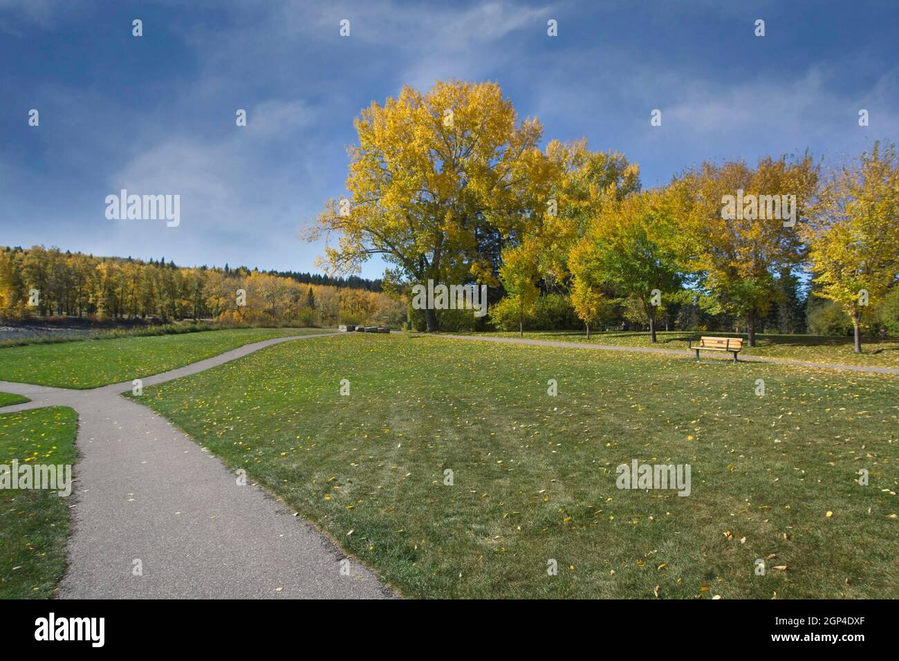 Baker park hi-res stock photography and images - Alamy