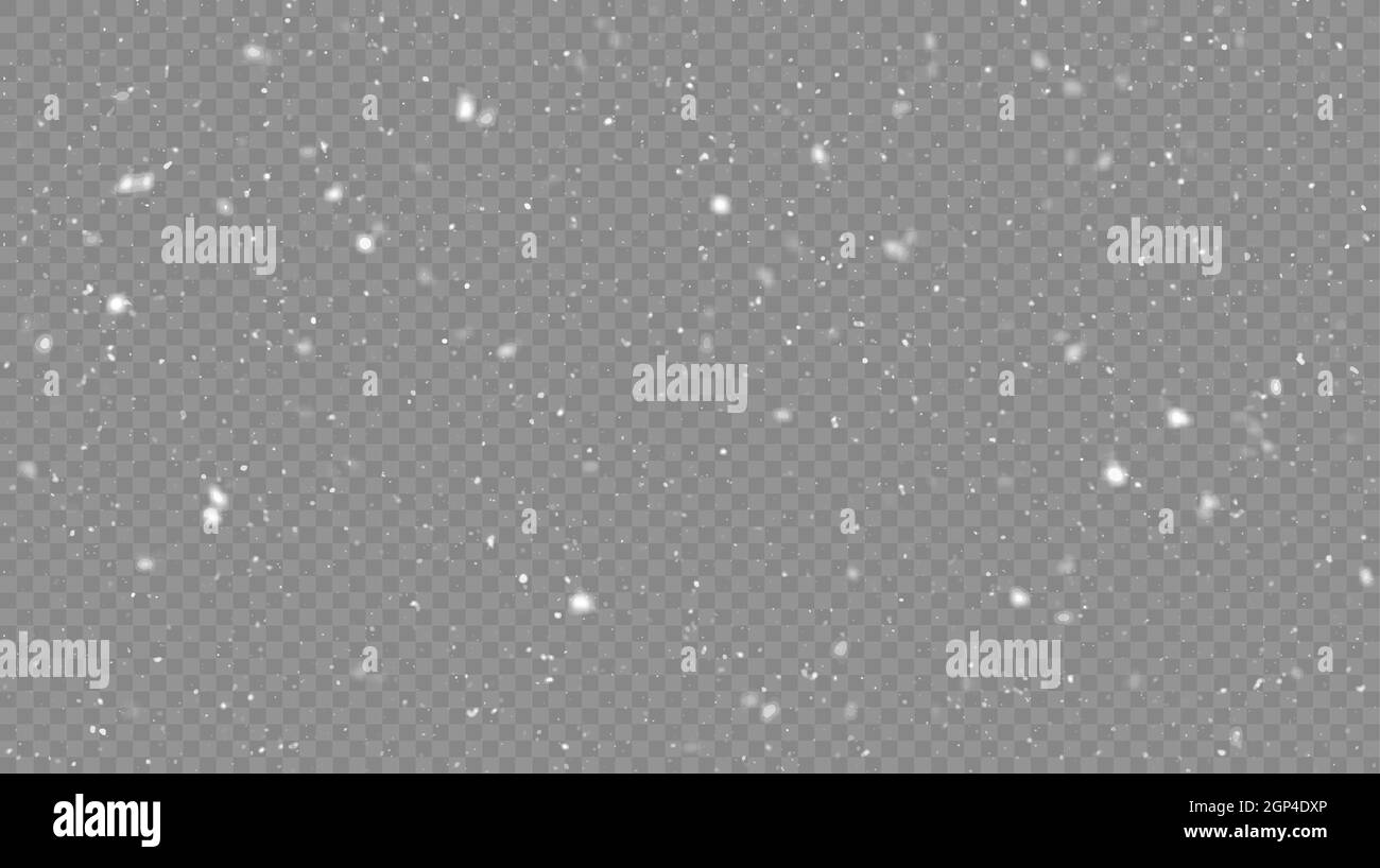 Vector snowfall isolated. Winter background. Snow overlay illustration ...