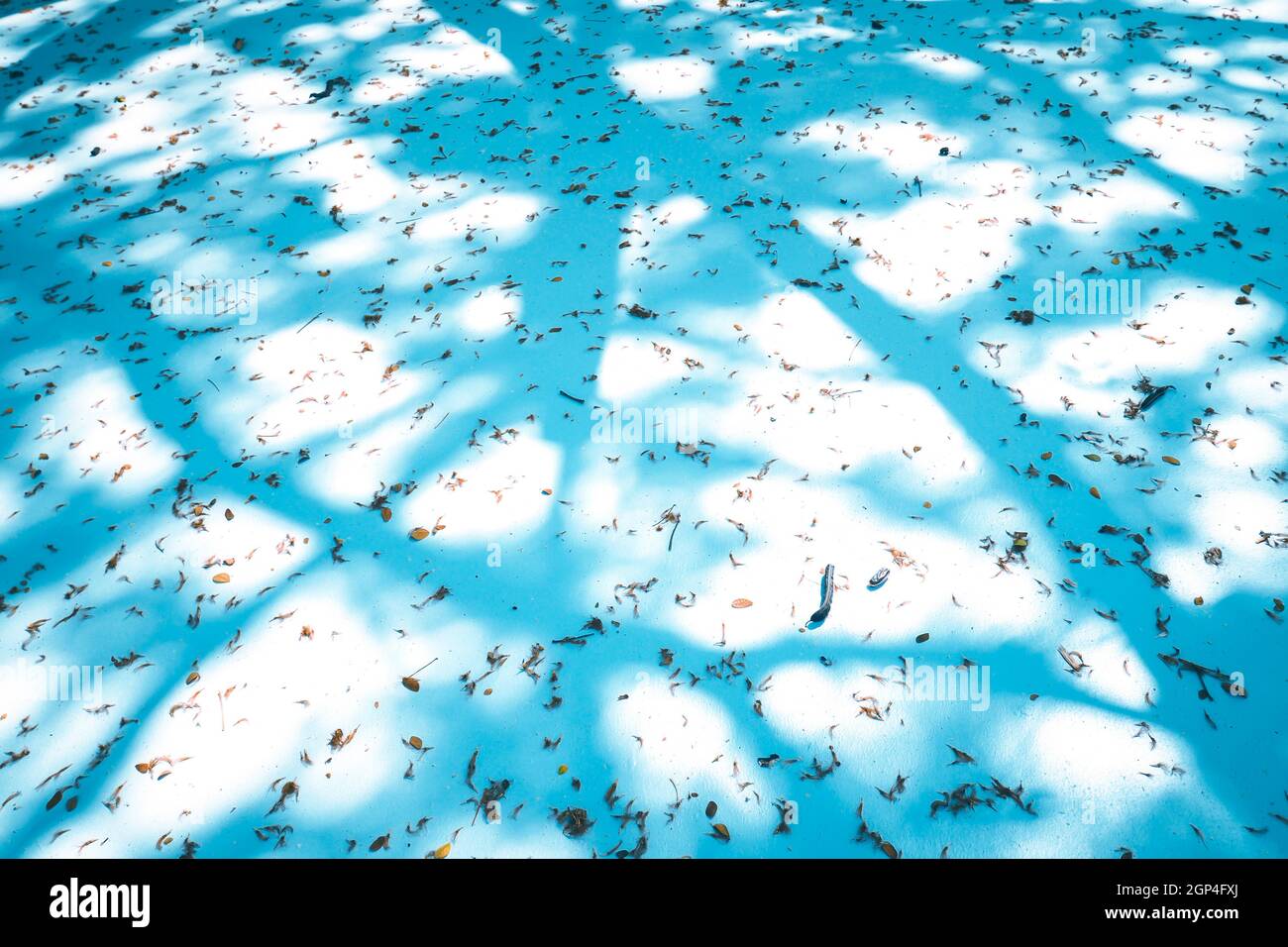 The tree shadow cast on the concrete floor . Shadow of tree on ground ...