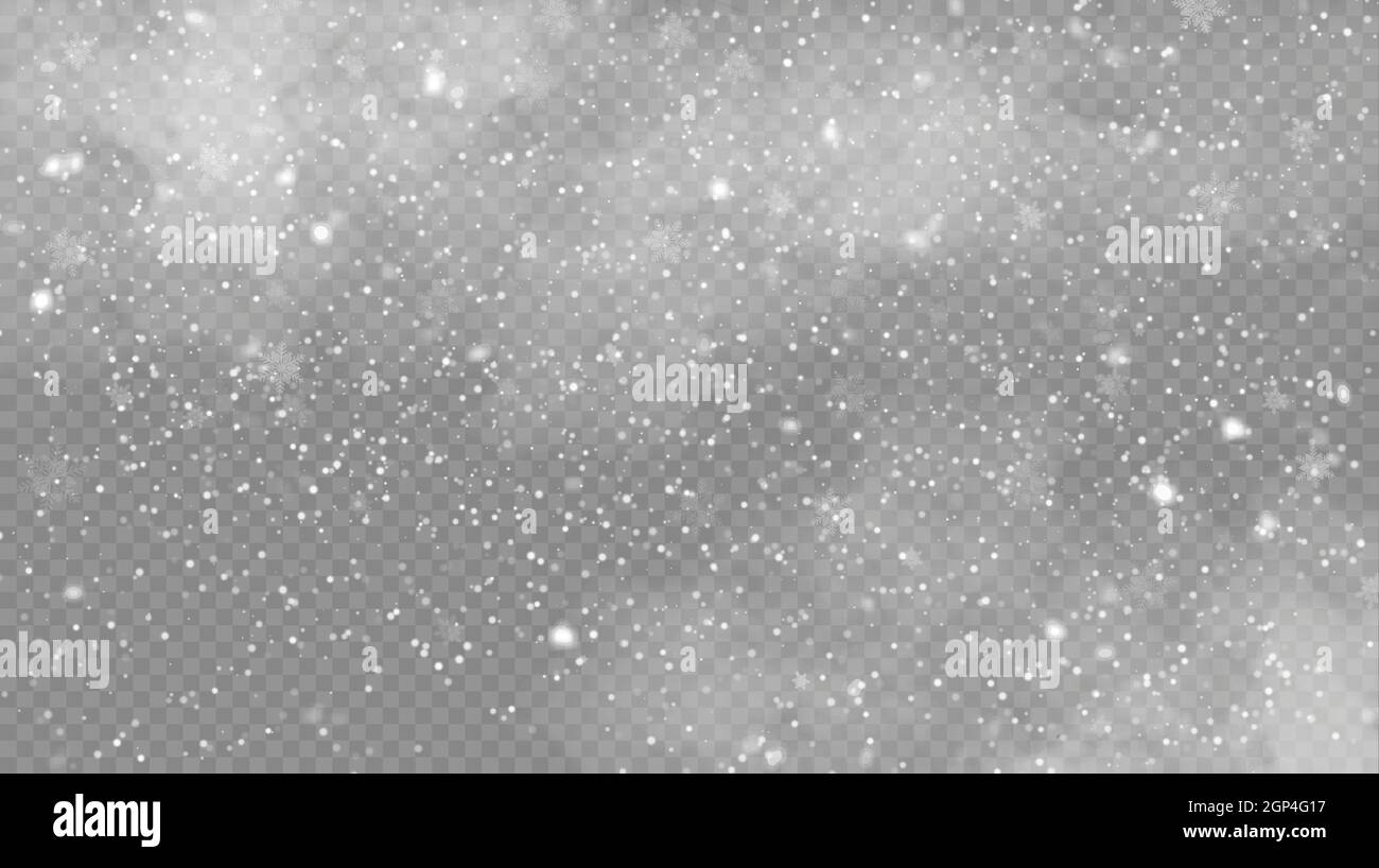 Vector snowfall isolated. Winter background. Snow overlay illustration ...