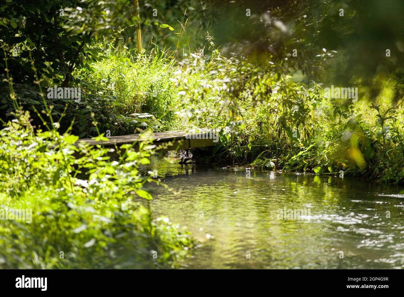 Pretty stream with path hi-res stock photography and images - Alamy