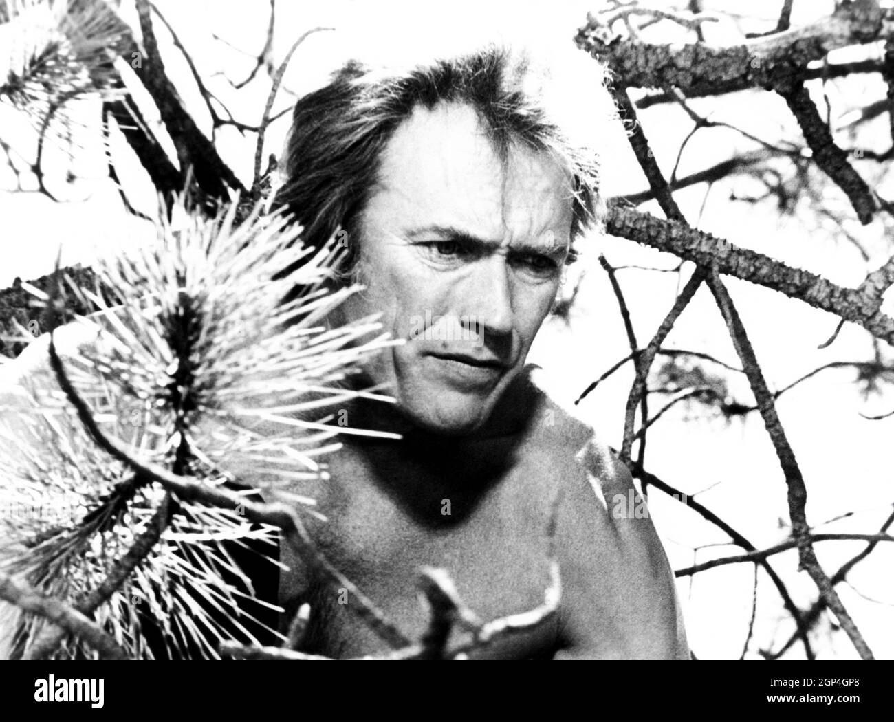 EVERY WHICH WAY BUT LOOSE, Clint Eastwood, 1978. ©Warner Brothers ...