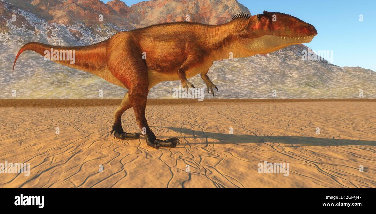 Carcharodontosaurus was a carnivorous theropod dinosaur that lived in ...
