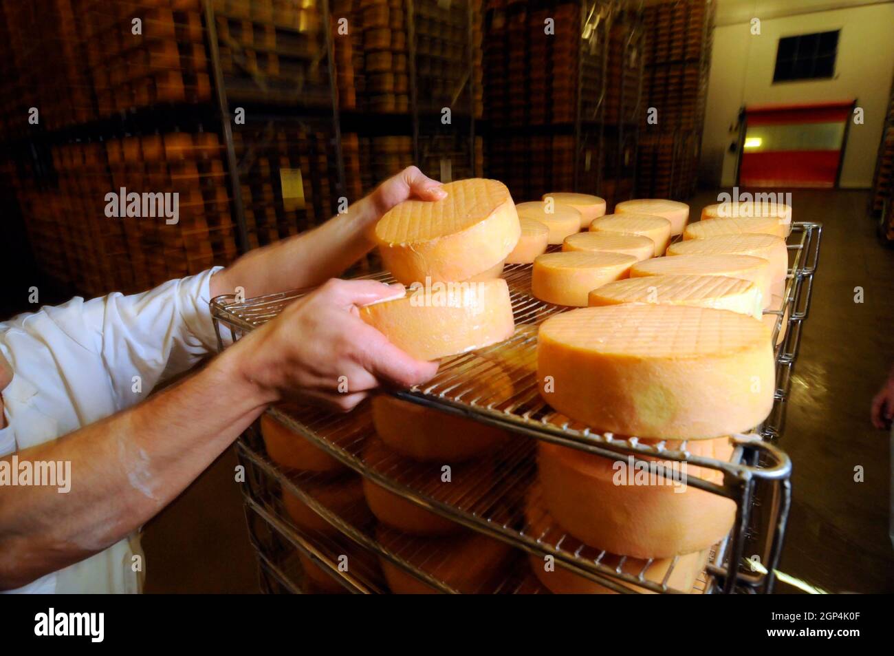 Process maturation hi-res stock photography and images - Alamy