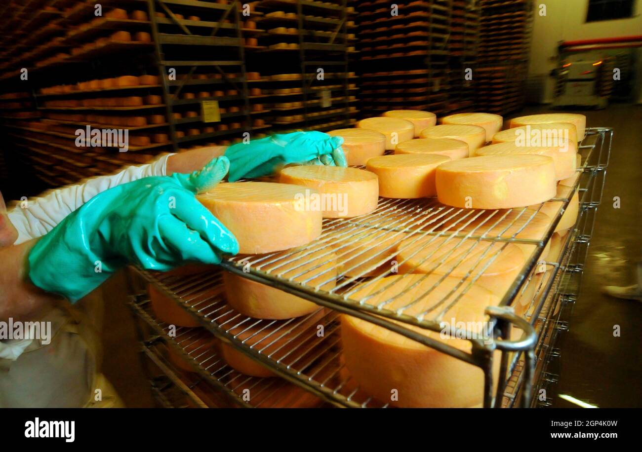 Process maturation hi-res stock photography and images - Alamy