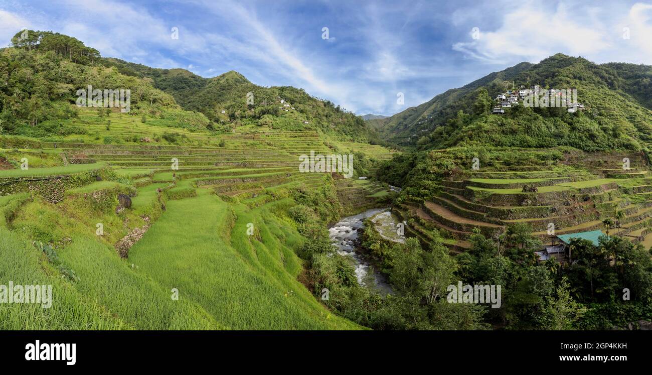 PHILIPPINES, BANAUE. THE TERRACES RICE FIELDS OF BANAUE Stock Photo - Alamy