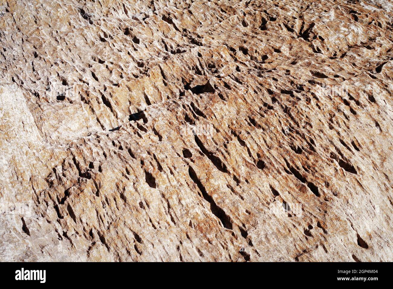 Surface sandy rock. Rocky shore of the Caspian Sea Stock Photo - Alamy
