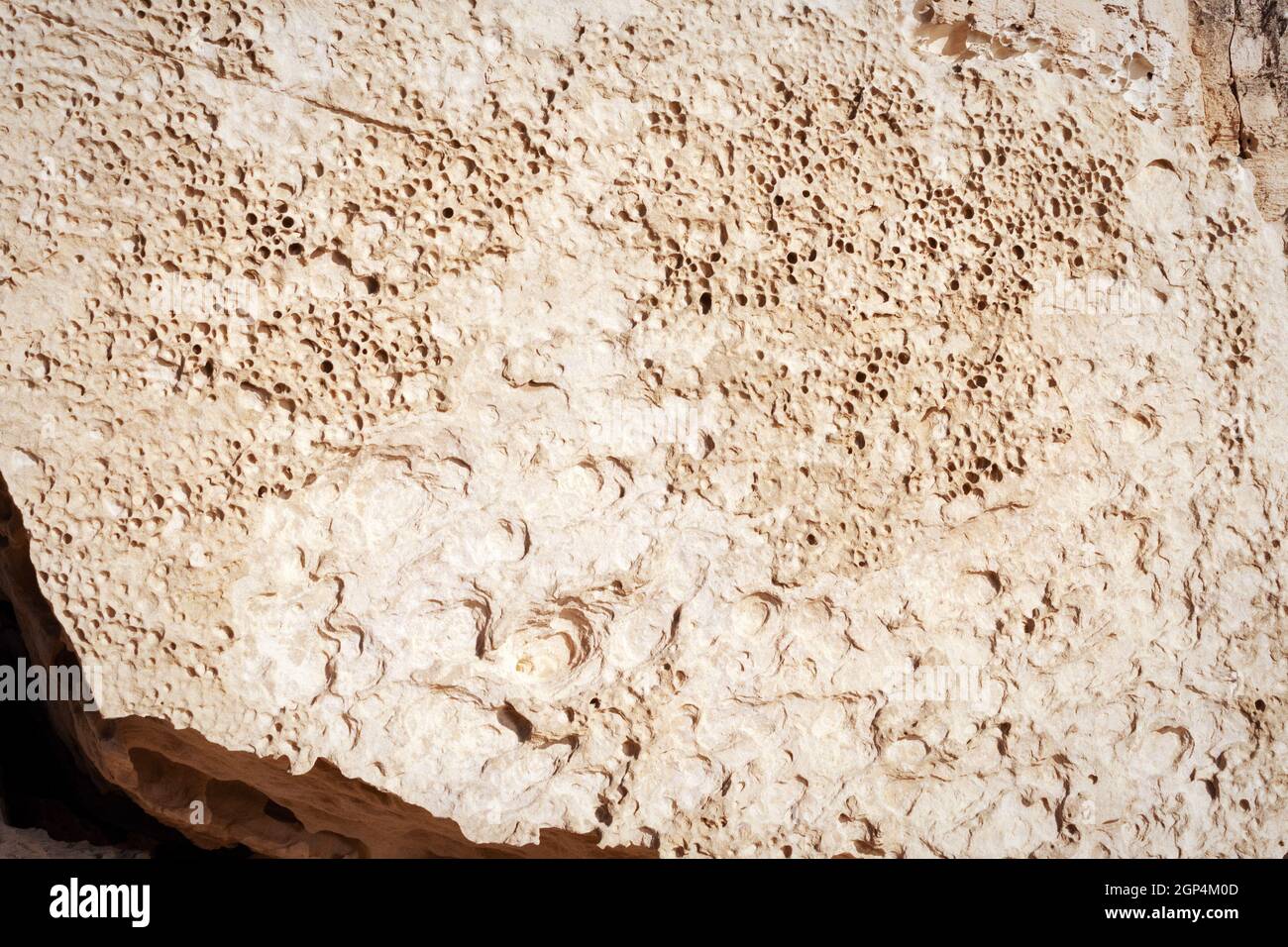 Surface sandy rock. Rocky shore of the Caspian Sea Stock Photo - Alamy