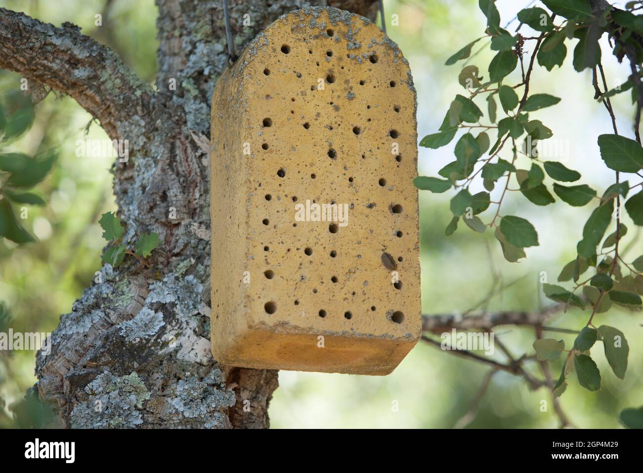 Concrete bug house. A concrete insect hotel hanging on tree Stock Photo ...