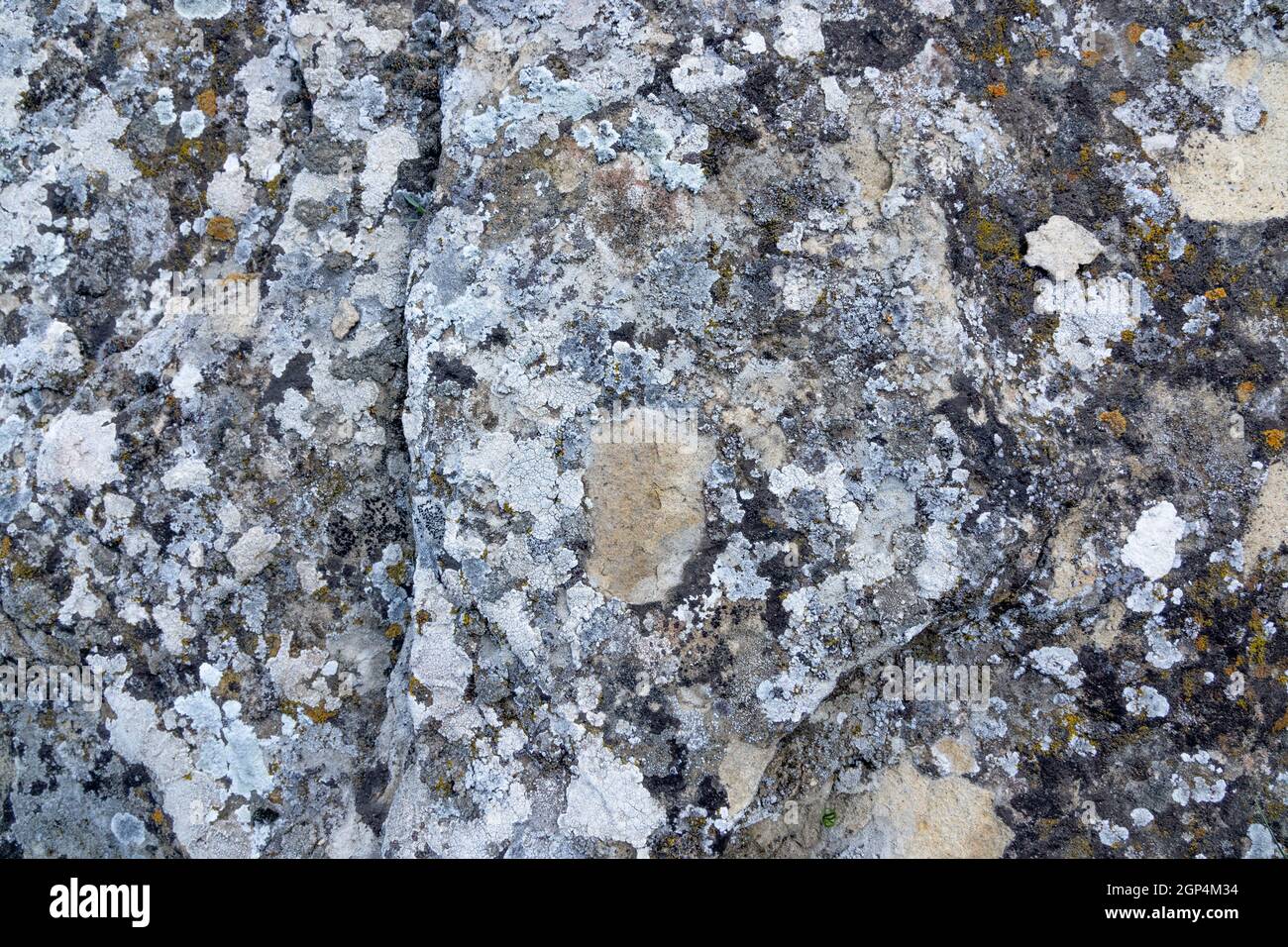 Various textures and textures of stone, concrete and metal. Background ...