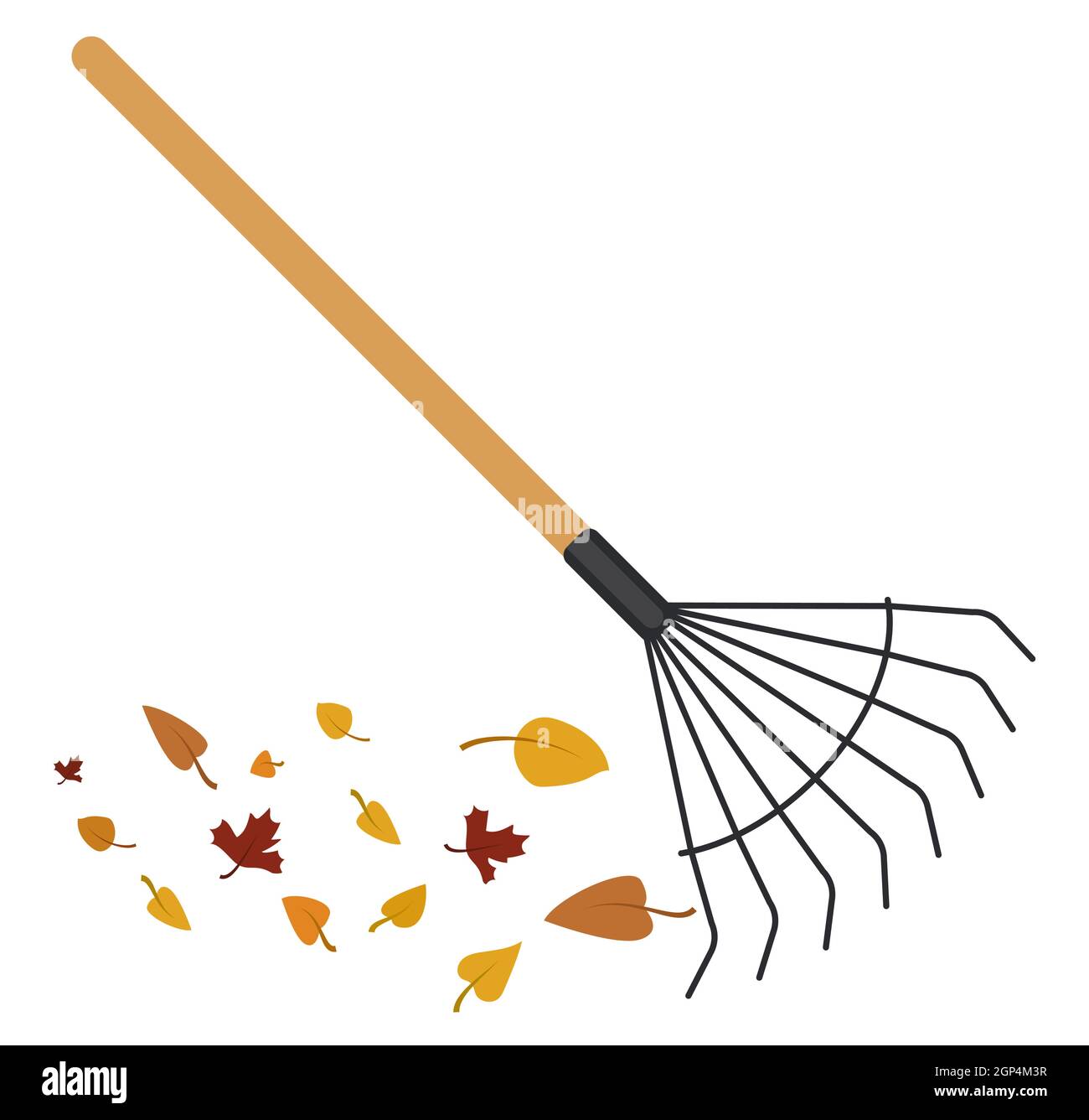 Garden rake with autumn leaves isolated on white background. Tool for ...