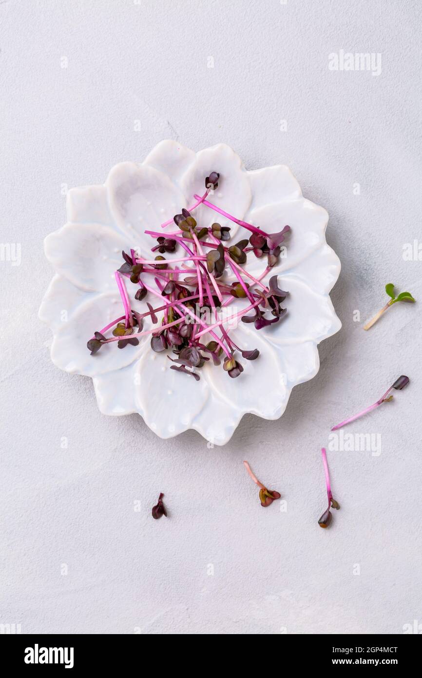 Purple Shiso Cress on grey plate Stock Photo - Alamy