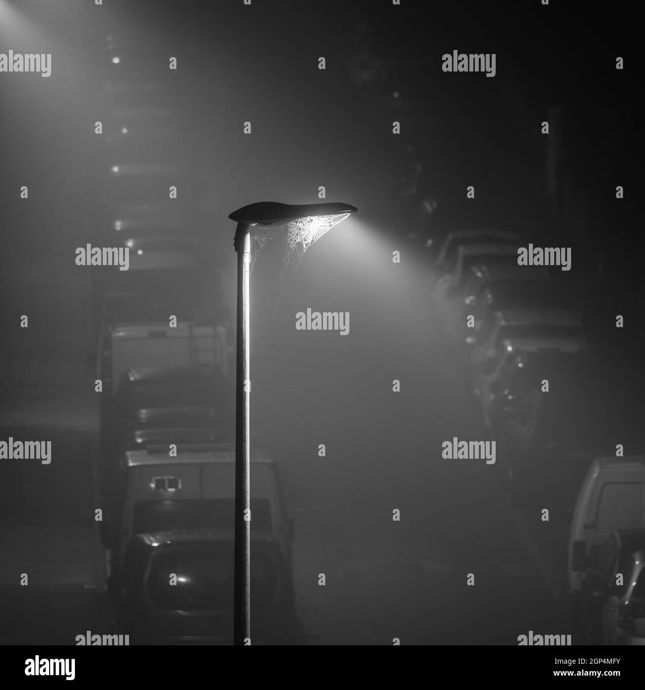 Modern LED street lights illuminating an empty foggy street, spider web ...