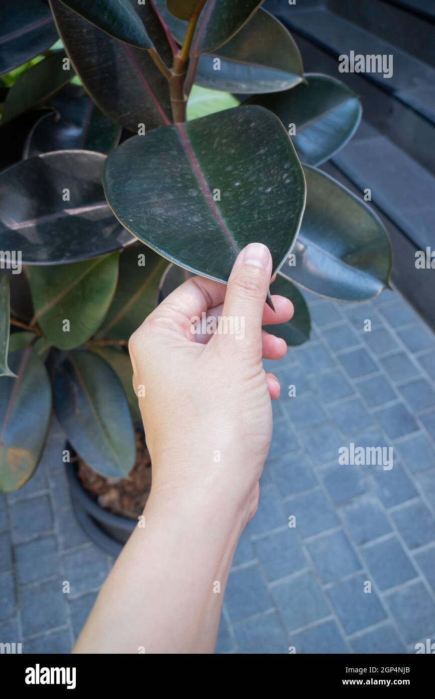 Simple touching hi-res stock photography and images - Alamy