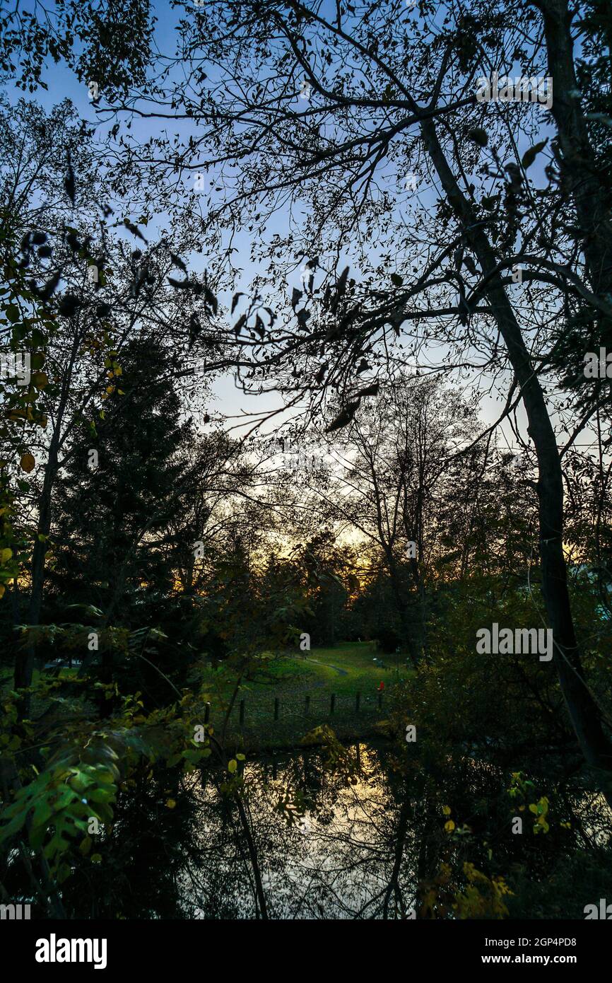 Sunset and forest silhouette (Sendai ice age of the forest). Shooting ...