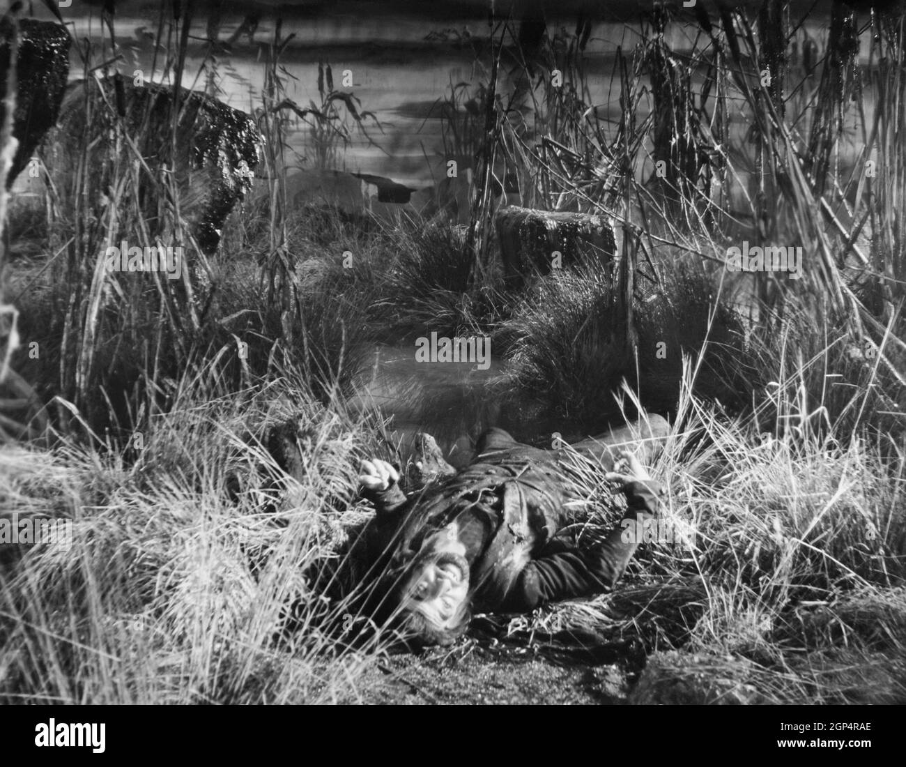 THE OLD CURIOSITY SHOP, Hay Petrie, 1934 Stock Photo - Alamy