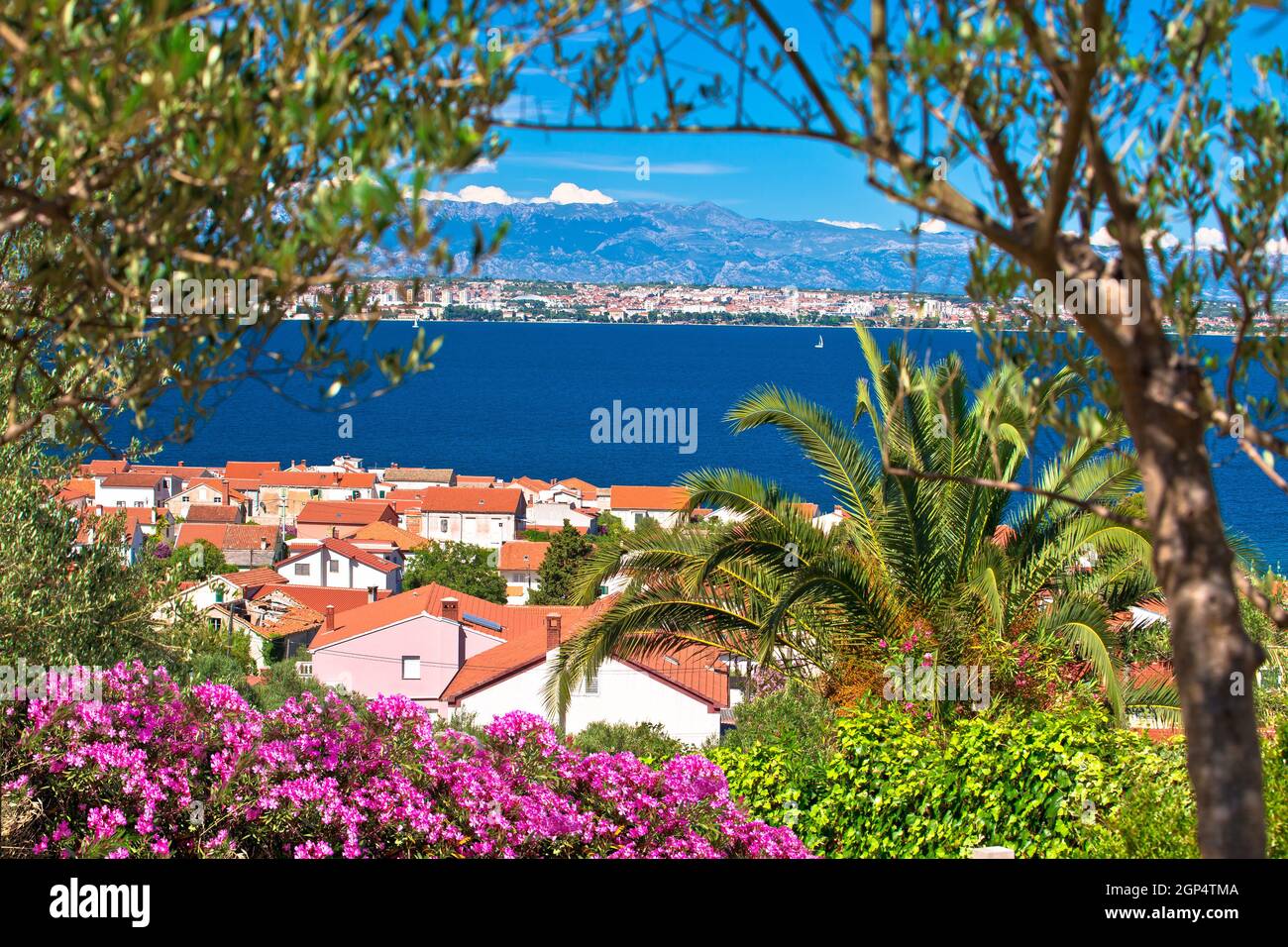 Zadar archipelago. Island of Ugljan and Adriatic sea colorful nature ...