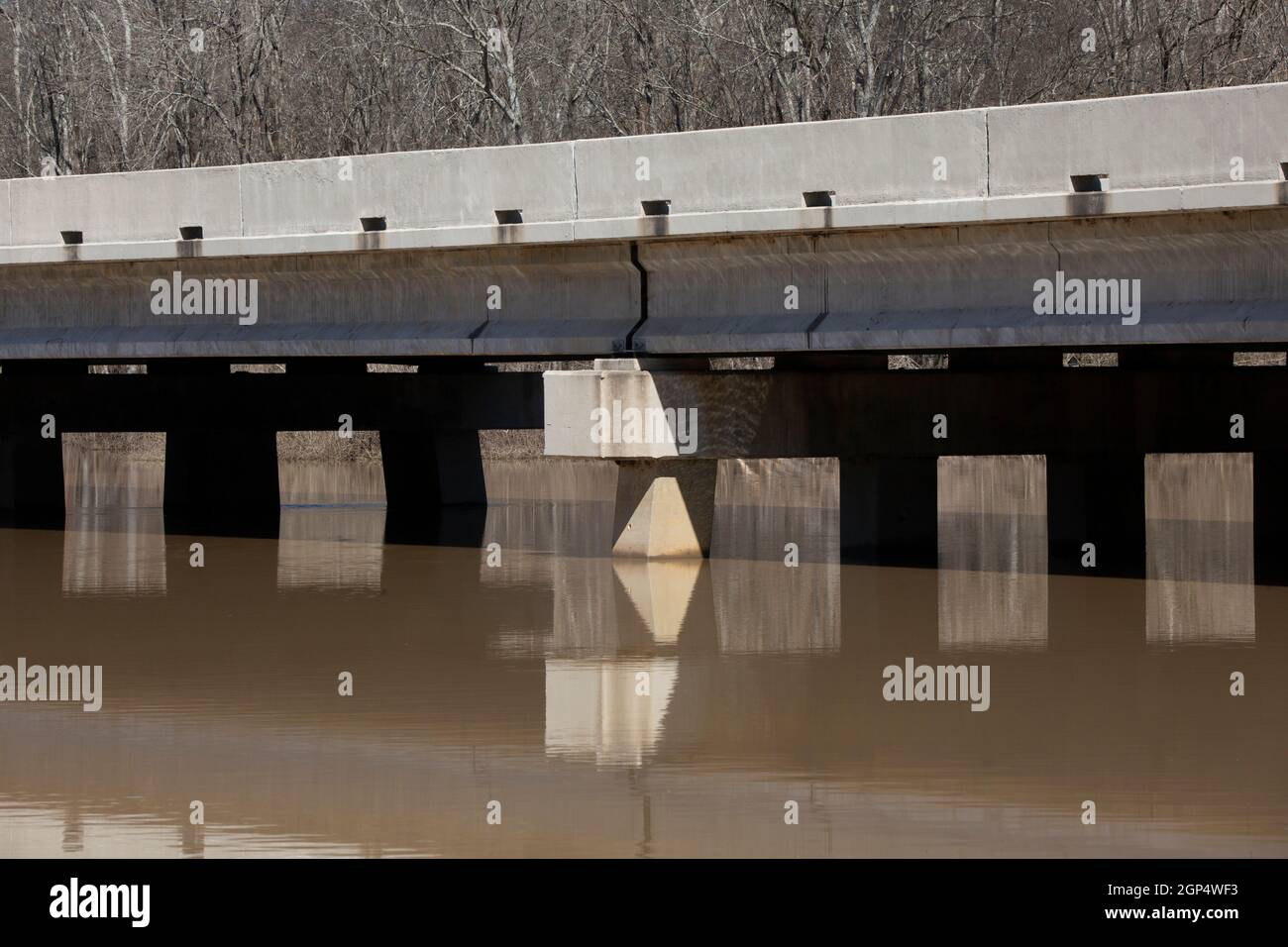 Bridge constructed of concrete running through swamp water in front of ...