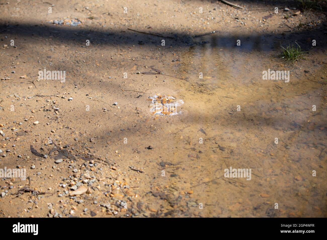 Ground water bubbling to the surface between rocks Stock Photo - Alamy