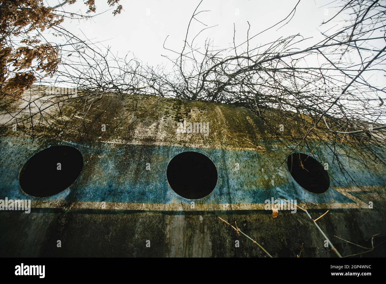 Abandoned plane. windows of the porthole in the plane Stock Photo - Alamy