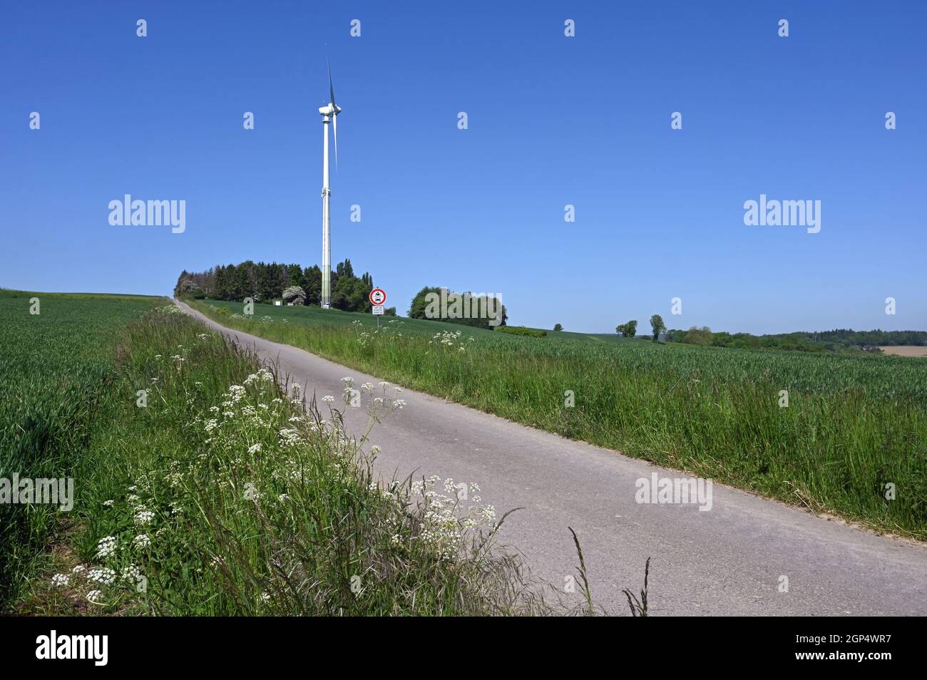 Power pathway hi-res stock photography and images - Alamy