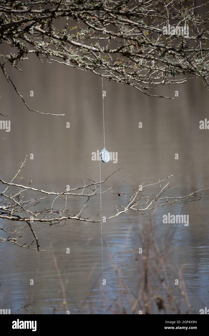 Silver anchor and thin fishing line tied to a branch for an underwater ...