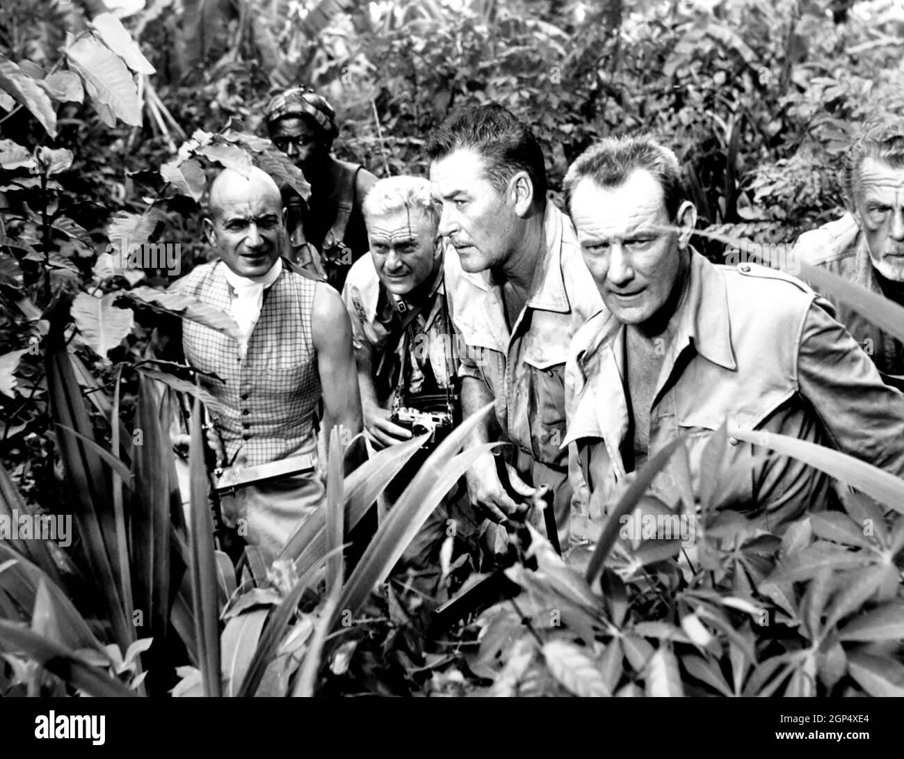 THE ROOTS OF HEAVEN, from left, front, Trevor Howard, Errol Flynn ...