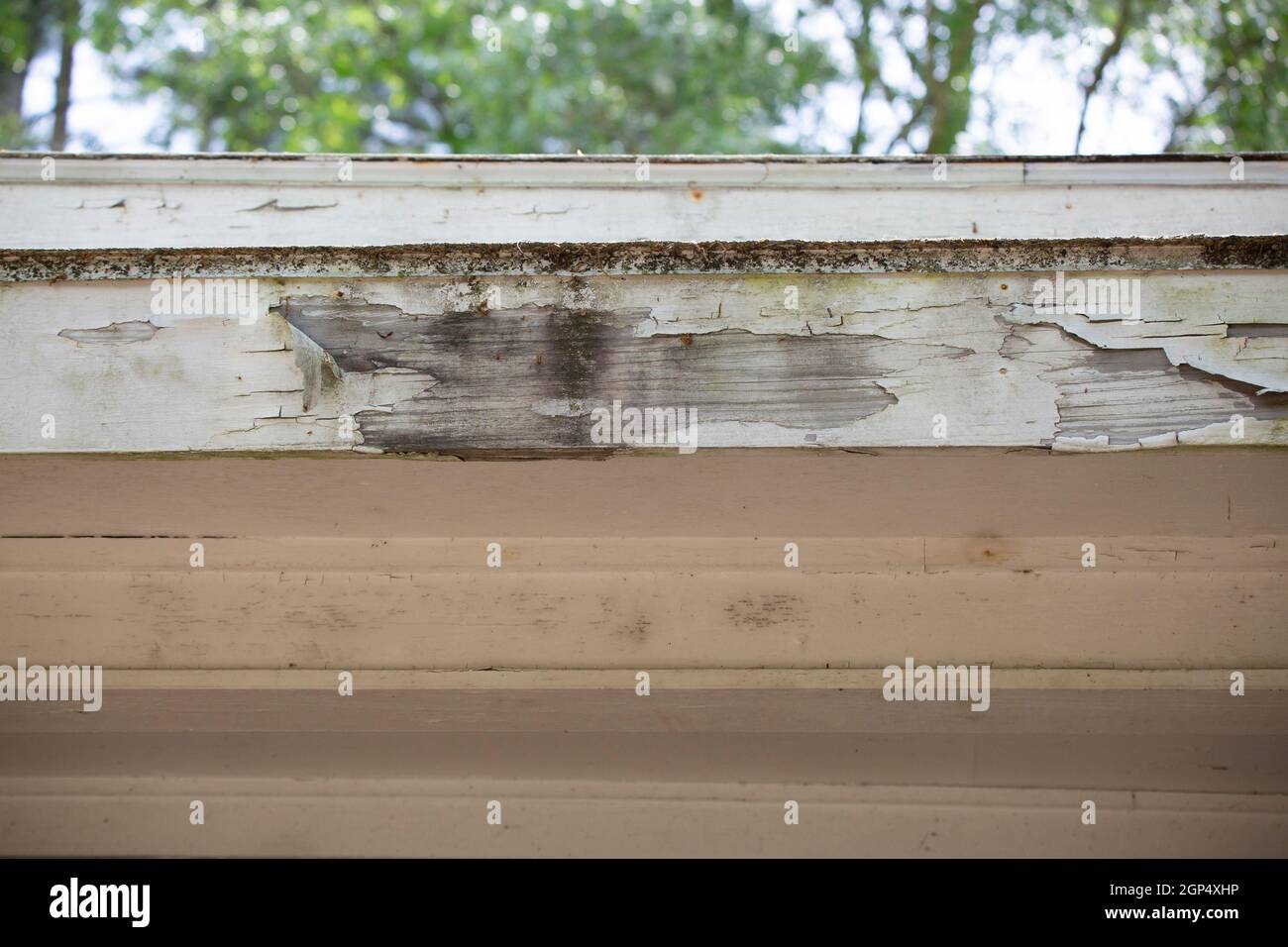 Paint peeling off a white roof fascia board Stock Photo - Alamy