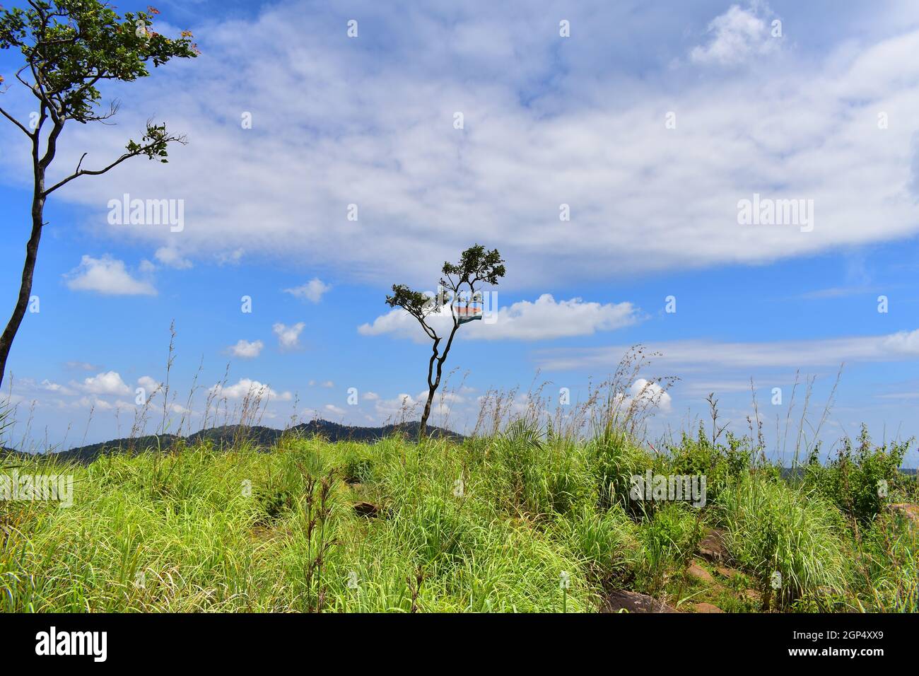 Sirumalai Peak, Vellimalai Sivan Temple Stock Photo - Alamy