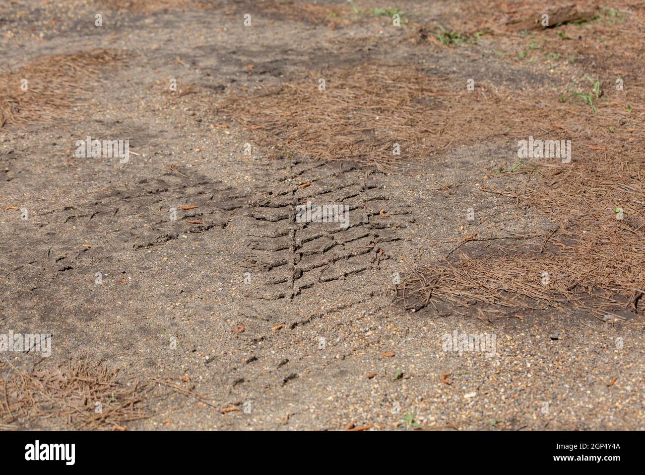 Thick tread hi-res stock photography and images - Alamy