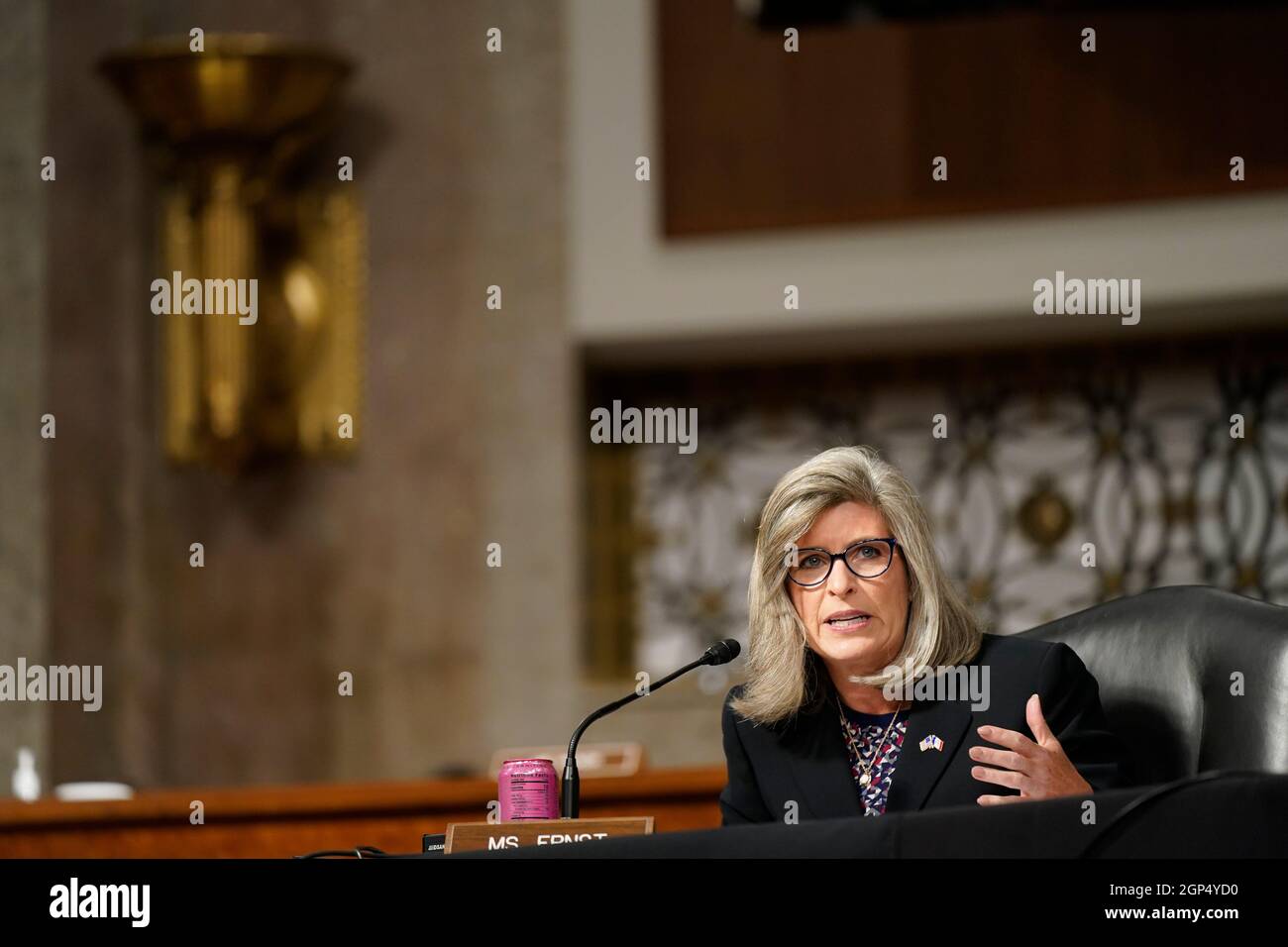 United States Senator Joni Ernst (Republican of Iowa), speaks during a ...