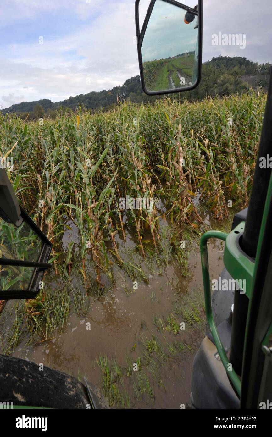 Damage to agriculture hi-res stock photography and images - Alamy