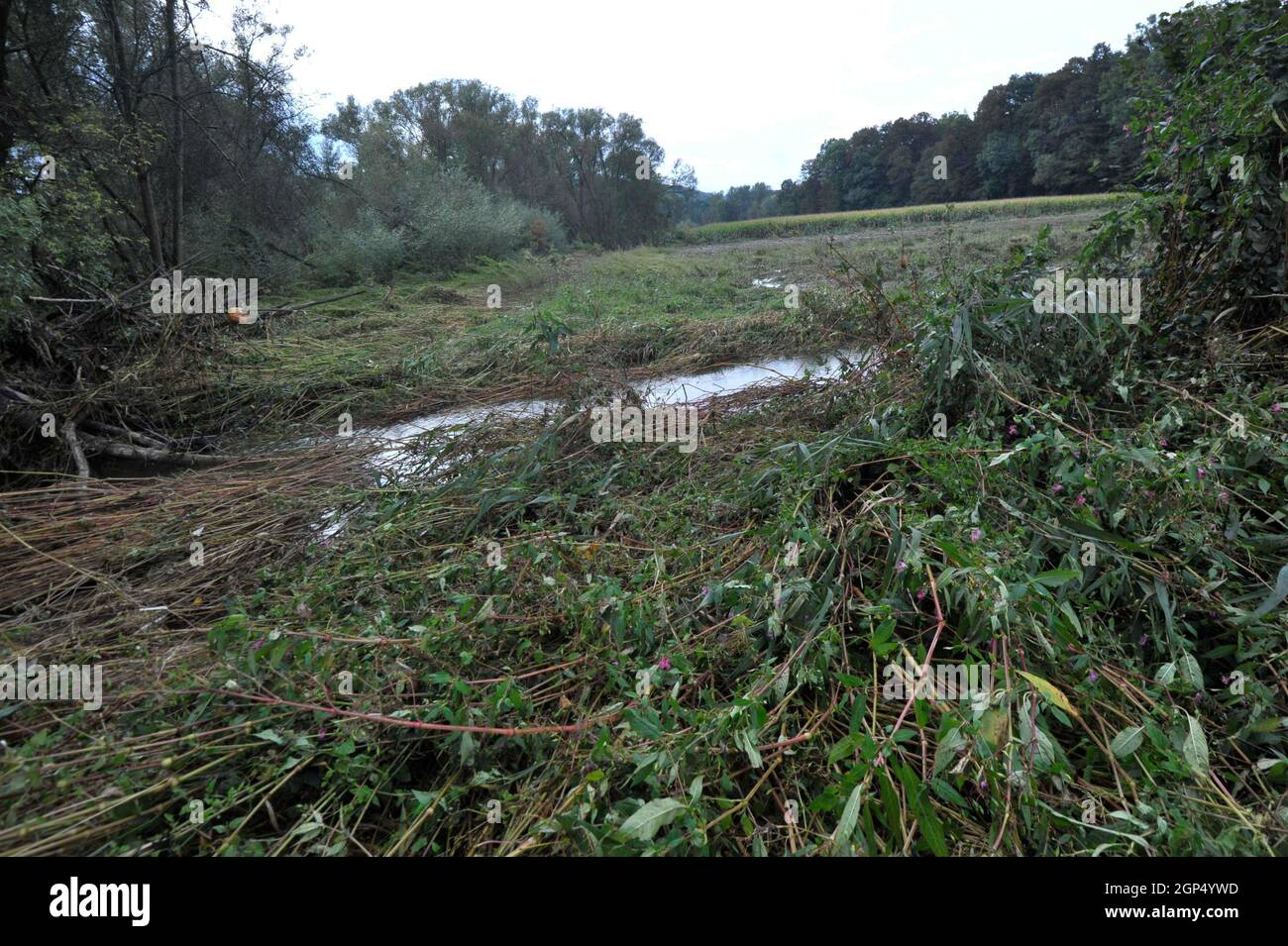 Damage to agriculture hi-res stock photography and images - Alamy