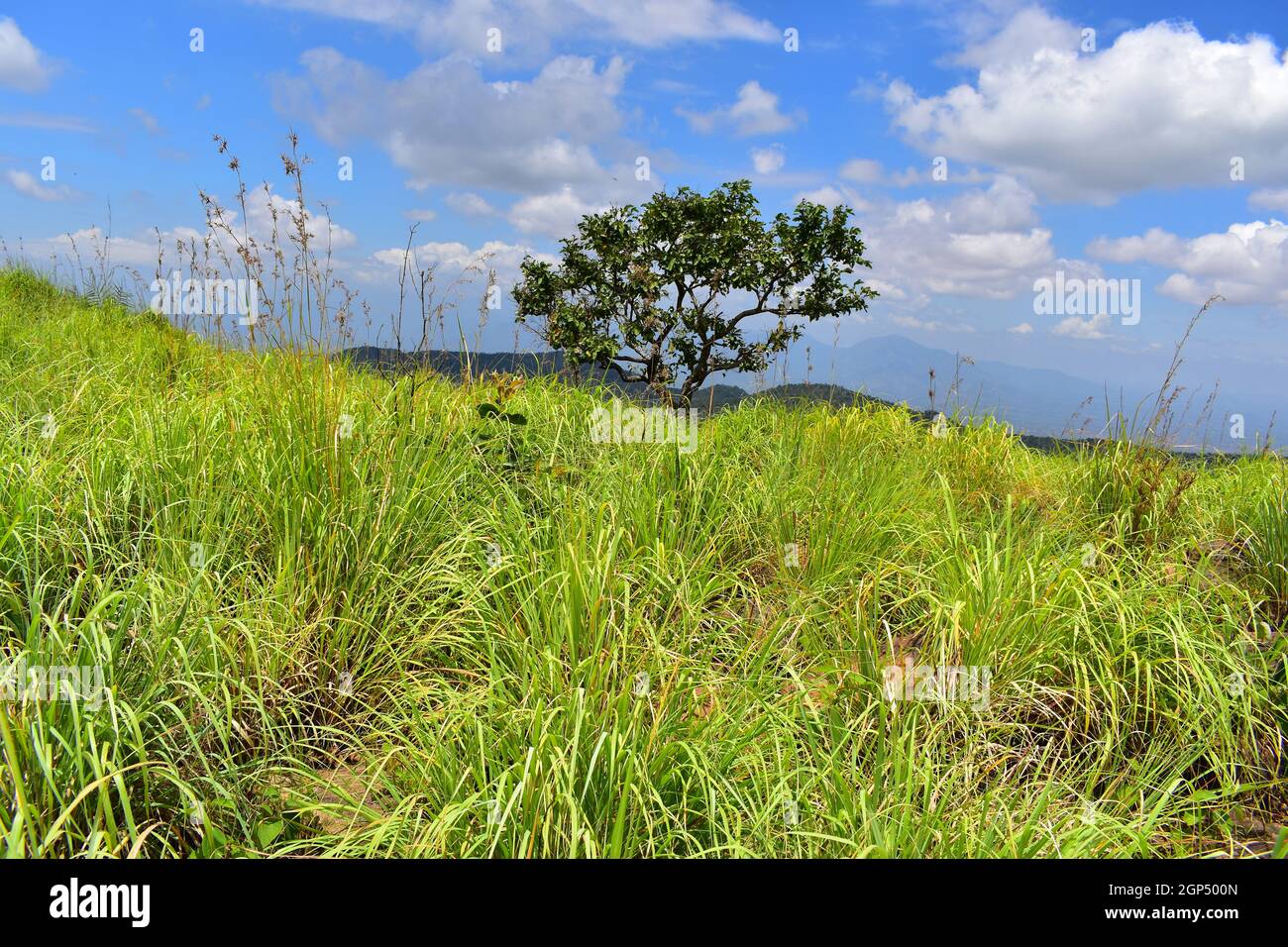 Sirumalai Peak, Vellimalai Sivan Temple Stock Photo - Alamy
