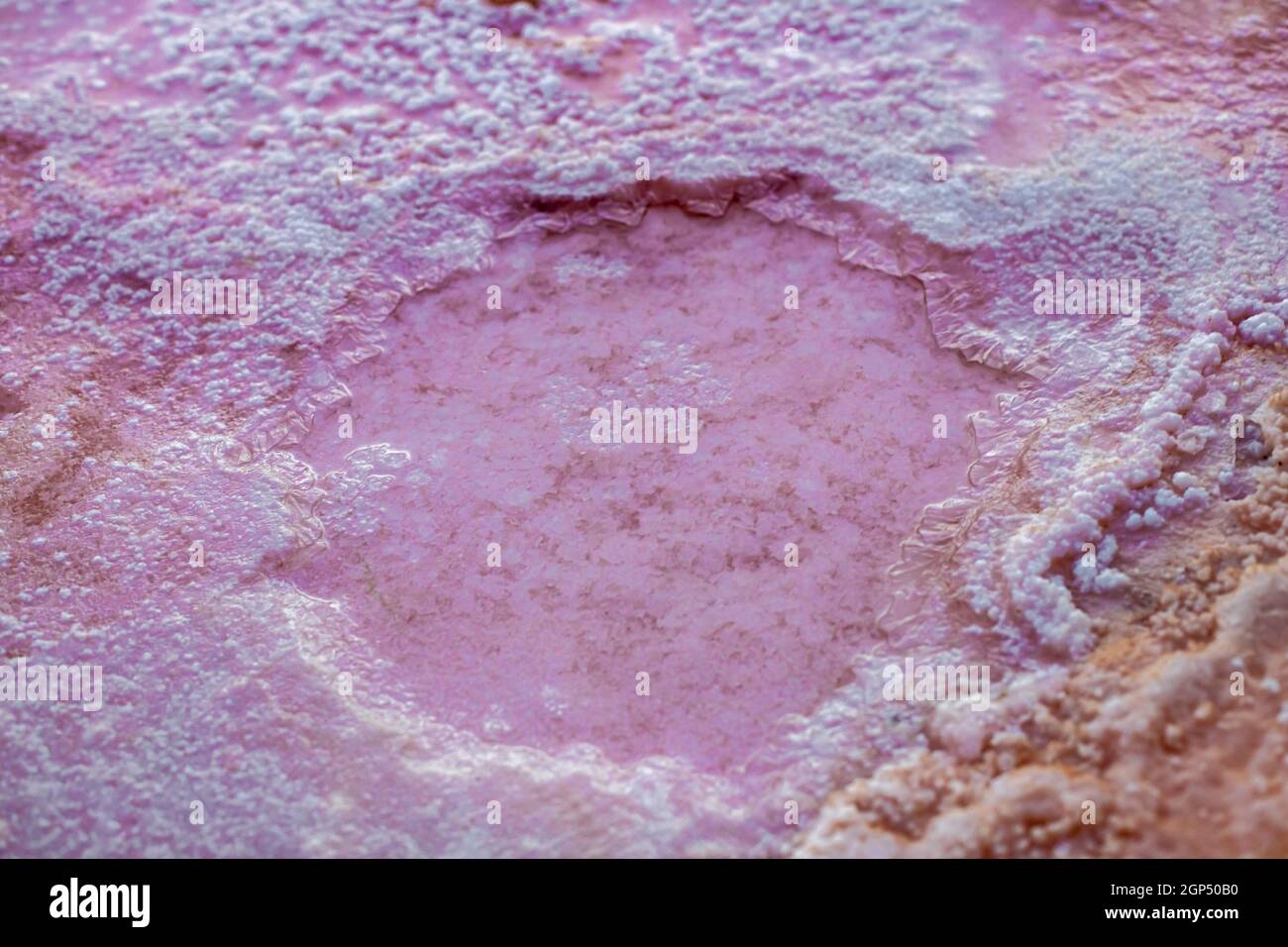 Sahara Desert, Salt Lake, Tunisia. Salt close-up in the salt desert ...