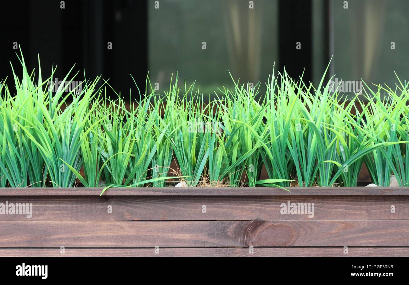 Landscaping of the adjoining space with artificial plants Stock Photo ...