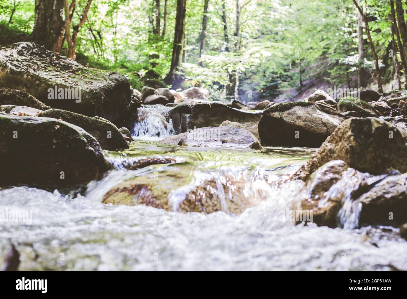 Mountain River Stream Through Summer Forest. Clear Water. Day In Nature ...